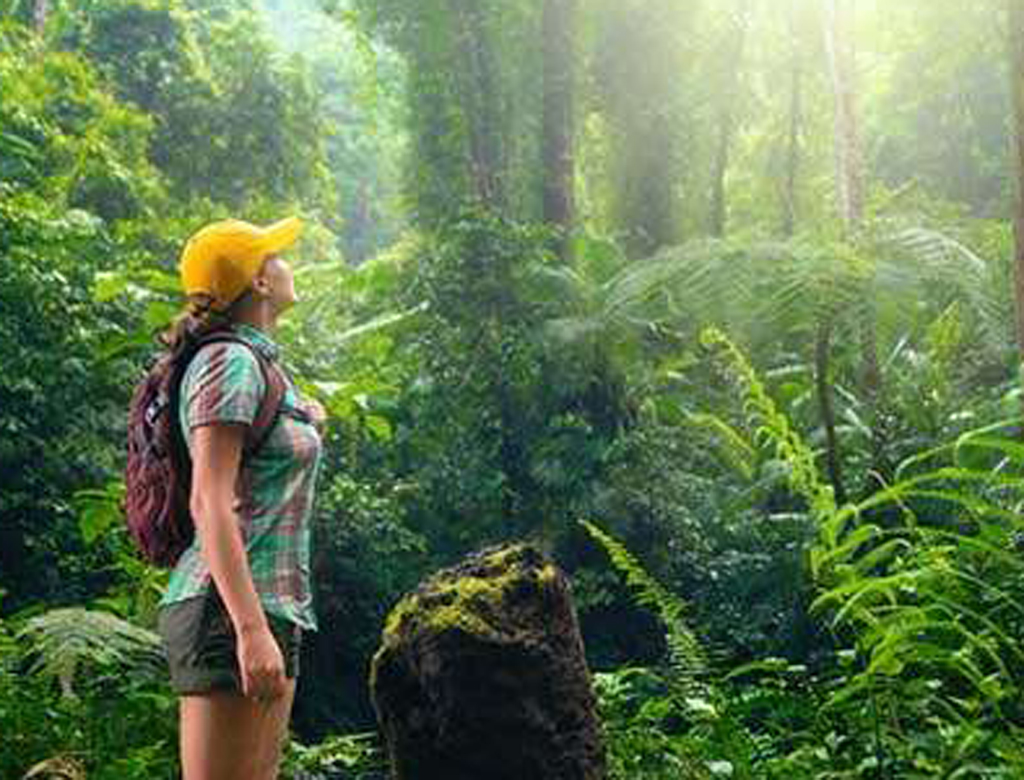 The global ecotourism market garnered $92.2 billion in 2019, and is estimated to generate $103.8 ...