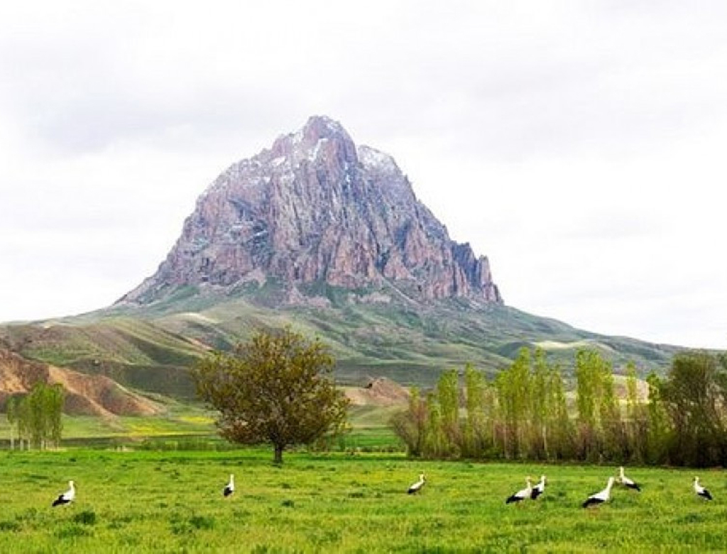 Azerbaijan has been added to birdingplaces.eu, a website made by and ...