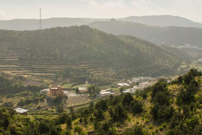 Saudi Arabia plans major green summits during COP27