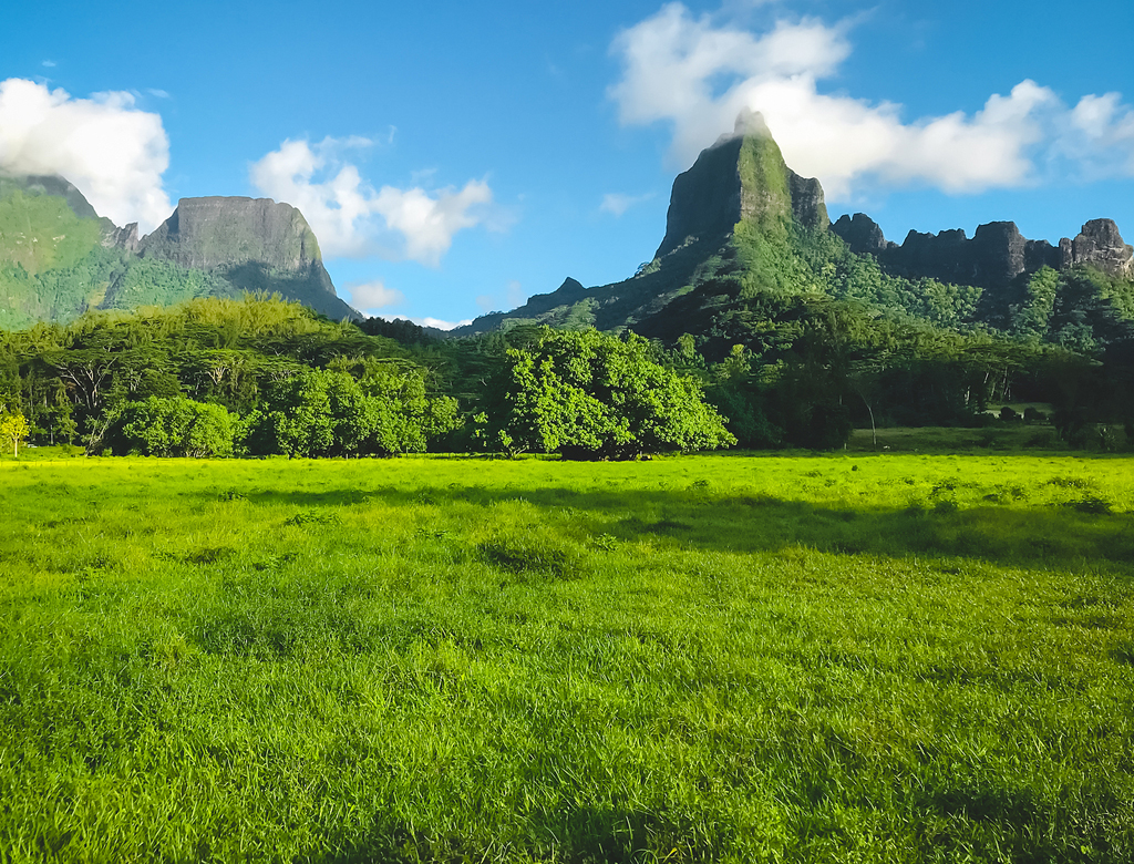 Polynesia, Moorea island. Image: Anastasiia Pro/Bigstock