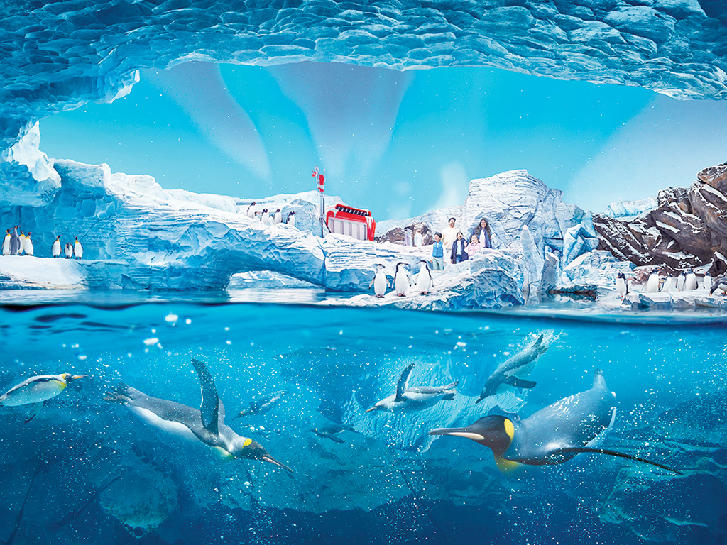 At the marine-life theme park of SeaWorld Abu Dhabi, guests will be ...