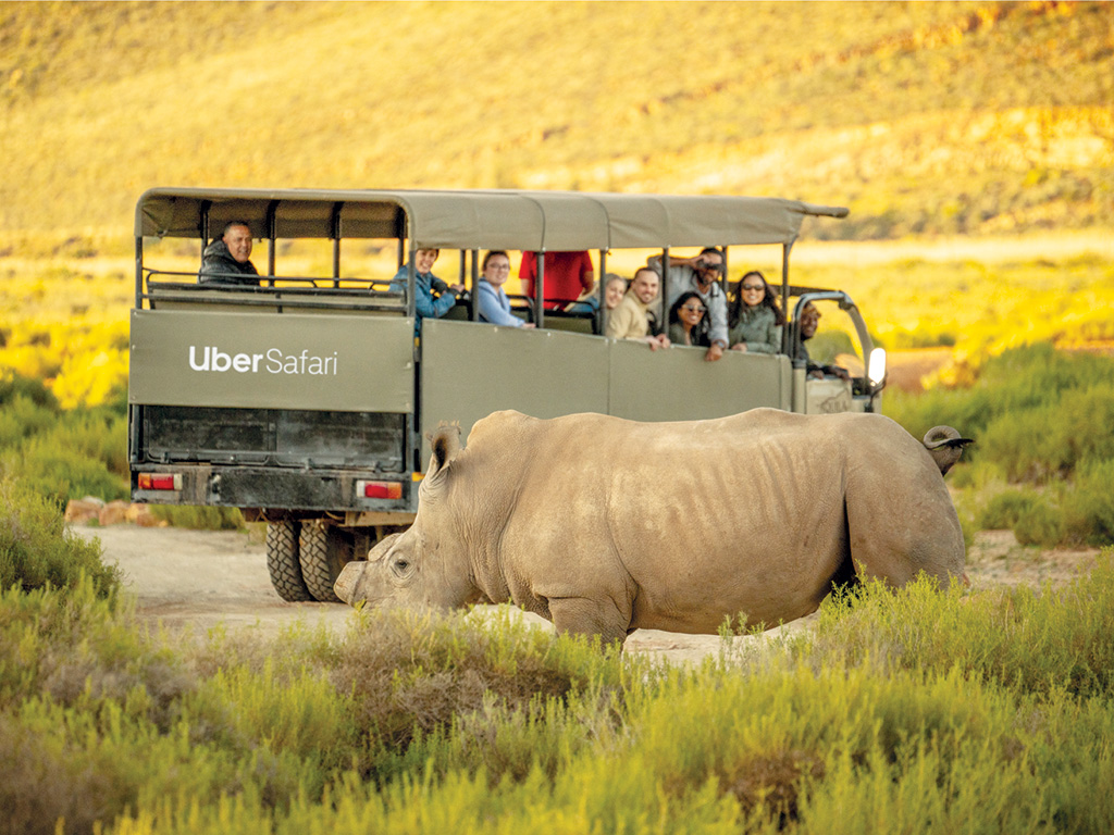 Uber Safari is the latest travel experience to launch as part of Uber’s ...